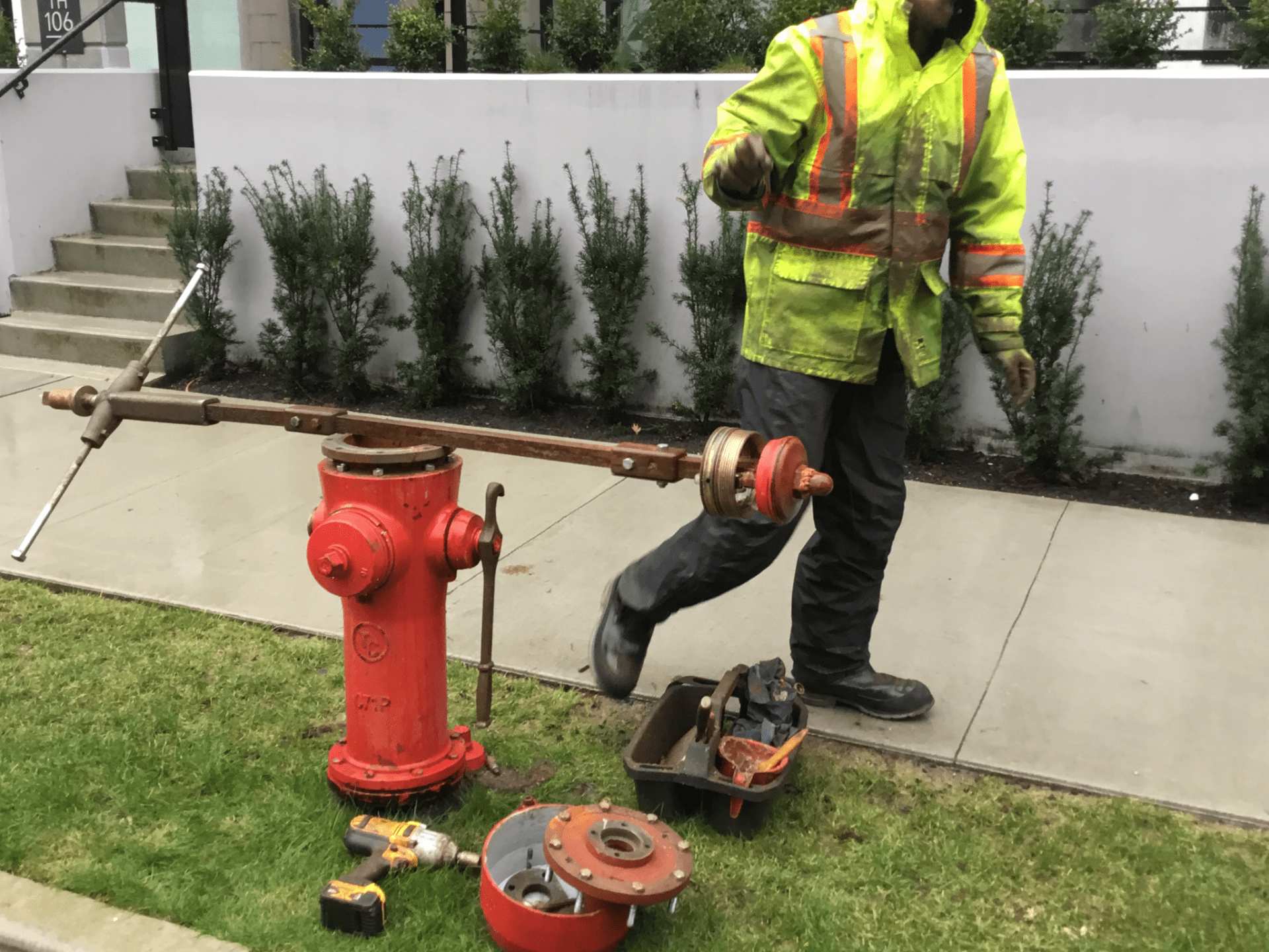 Services – Waqar Brothers